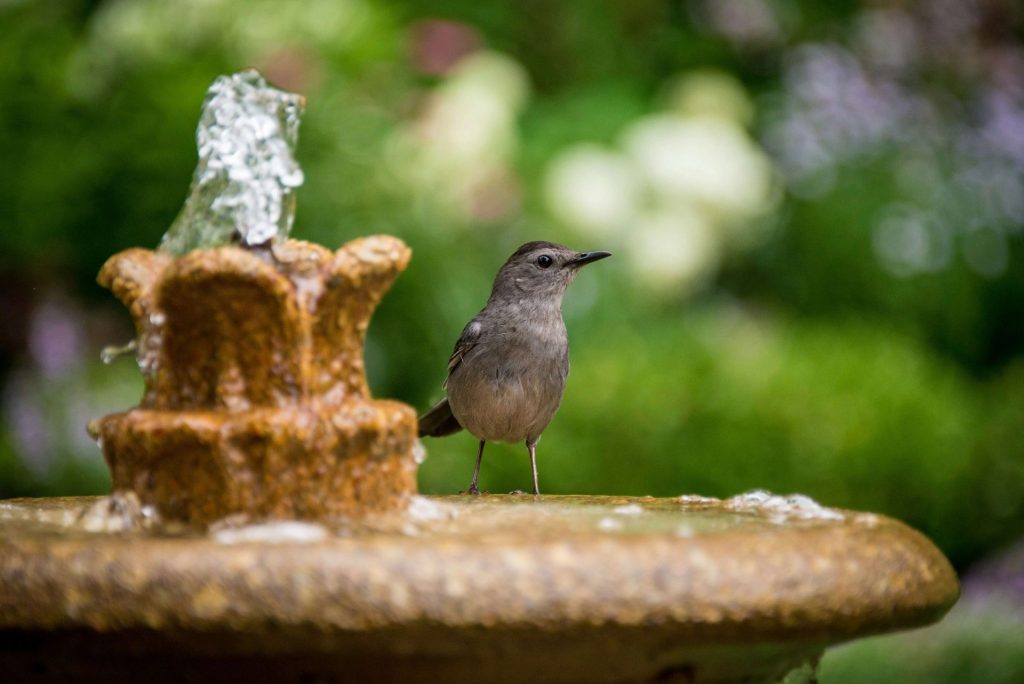 25 Front Yard Curb Appeal Ideas To Boost Home Value