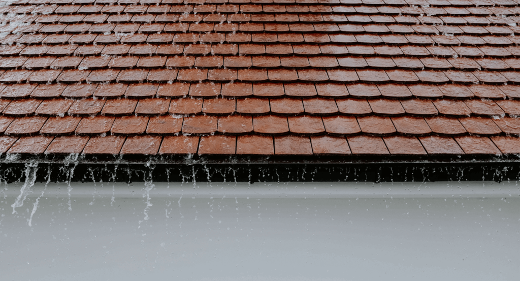 Best Types Of Gutter Guards To Protect Your Gutters